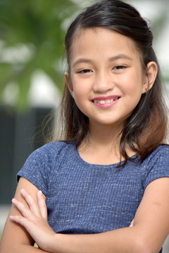 รูปภาพWaif – เลือกดูภาพถ่ายสต็อก เวกเตอร์ และวิดีโอ6,088 | Adobe Stock