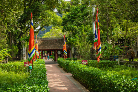 Hoa Images – Browse 5,210 Stock Photos, Vectors, and Video | Adobe Stock