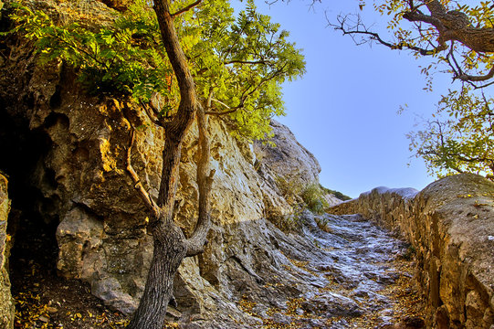 1,211 BEST Galitsin IMAGES, STOCK PHOTOS & VECTORS | Adobe Stock