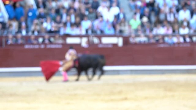 Bullfighting Images – Parcourir 35,523 le catalogue de photos, vecteurs ...