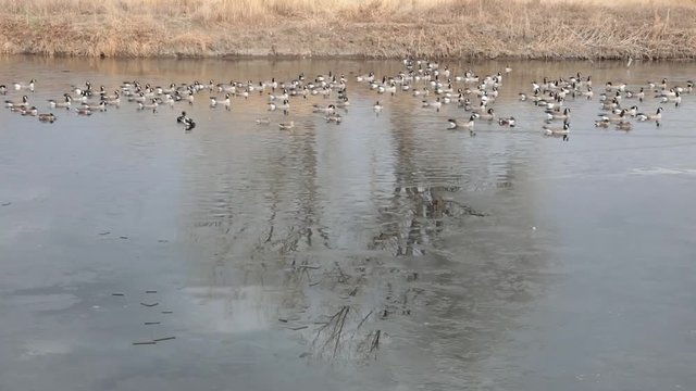 Loitering Images – Browse 13,134 Stock Photos, Vectors, and Video ...