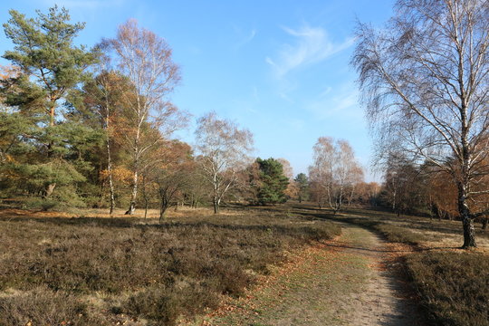Sandweg Bilder – Durchsuchen 1,104 Archivfotos, Vektorgrafiken und ...