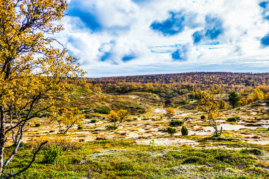 Kevo Images – Browse 40 Stock Photos, Vectors, and Video | Adobe Stock