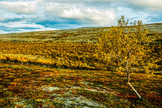 Kevo Images – Browse 40 Stock Photos, Vectors, and Video | Adobe Stock