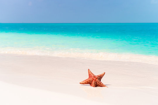 travnikovstudio photos, images, assets | Adobe Stock