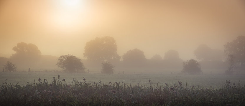"Nebel Imej – Semak Imbas 1,942 Foto, Vektor dan Video Stok | Adobe Stock