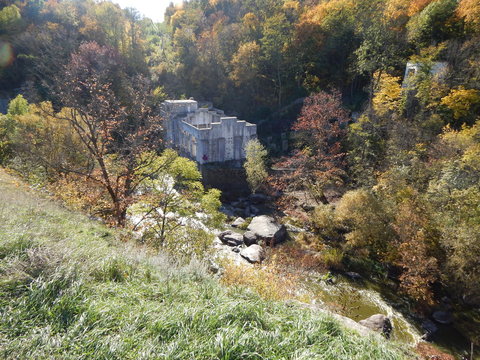 Byki Images – Browse 124 Stock Photos, Vectors, and Video | Adobe Stock