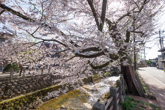 รูปภาพRyokuchi – เลือกดูภาพถ่ายสต็อก เวกเตอร์ และวิดีโอ157 | Adobe Stock