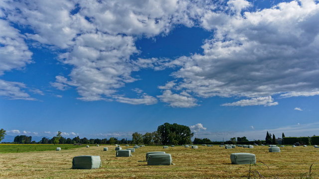 Hay-Making Images – Browse 104 Stock Photos, Vectors, and Video | Adobe ...
