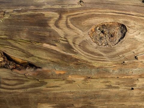 รูปภาพNod – เลือกดูภาพถ่ายสต็อก เวกเตอร์ และวิดีโอ29,751 | Adobe Stock