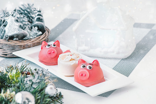 Mini-Pigs Bilder – Durchsuchen 24 Archivfotos, Vektorgrafiken und ...