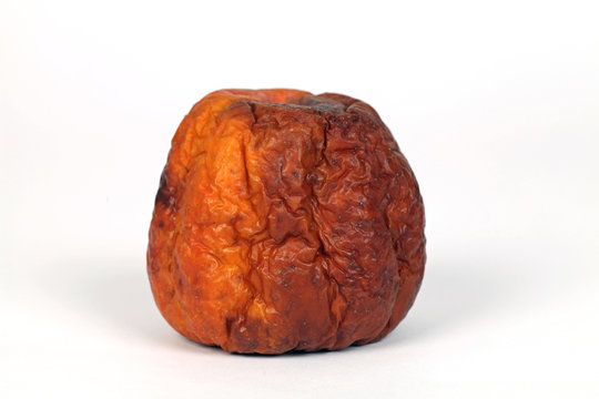 Runzelig Bilder – Durchsuchen 373 Archivfotos, Vektorgrafiken und ...