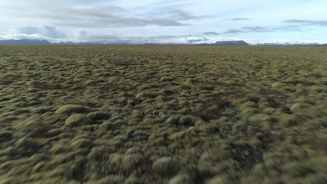 Imagens de Tundra – Explore Fotografias do Stock, Vetores e Vídeos de ...
