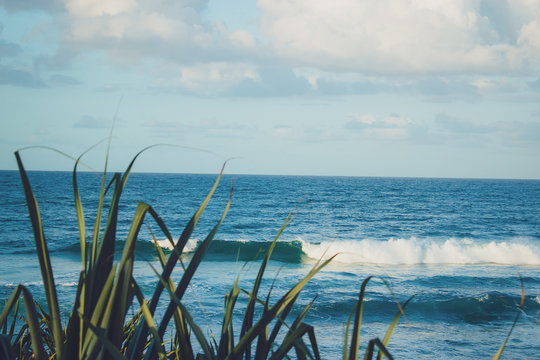 "Title Background" Images – Browse 1,057 Stock Photos, Vectors, and ...