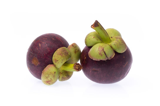 รูปภาพMangustan – เลือกดูภาพถ่ายสต็อก เวกเตอร์ และวิดีโอ442 | Adobe Stock