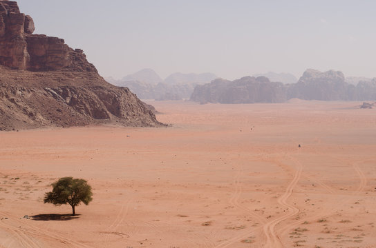 Filmort Bilder – Durchsuchen 93 Archivfotos, Vektorgrafiken und Videos ...