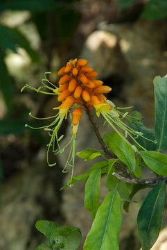 Paradoxum Bilder – Durchsuchen 90 Archivfotos, Vektorgrafiken und ...