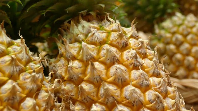 "Pineapple Texture" Bilder – Durchsuchen 131 Archivfotos ...