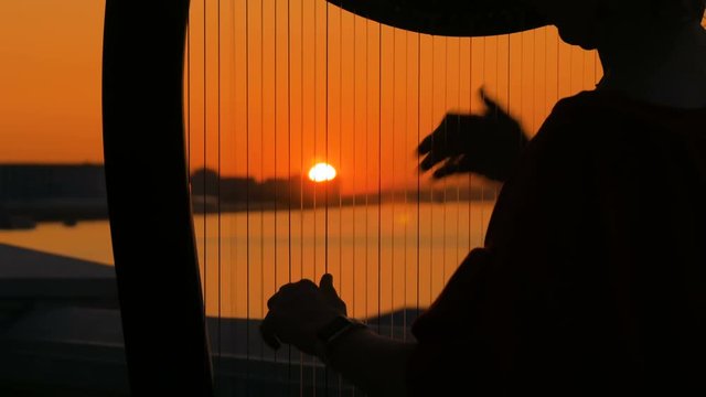 Harp Video Footage – Browse 1,748 HD Stock Video and Footage | Adobe Stock