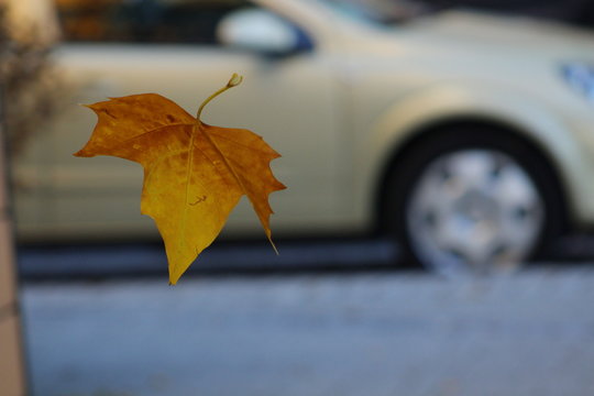 Fallende Képek – Böngésszen 1,795 stockfotókat, vektorokat és videókat ...