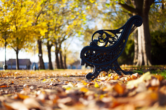รูปภาพWrexham – เลือกดูภาพถ่ายสต็อก เวกเตอร์ และวิดีโอ547 | Adobe Stock