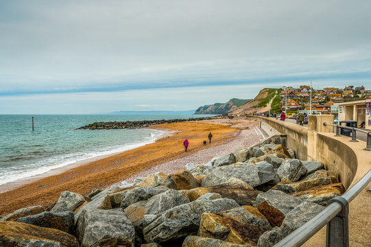 Bridport Images – Browse 708 Stock Photos, Vectors, and Video | Adobe Stock