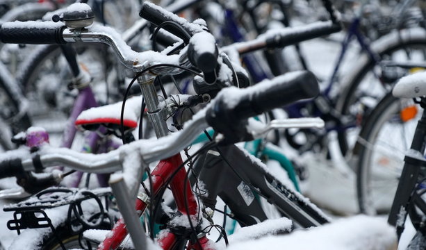 45 BESTE Veloziped BILDER, STOCK-FOTOS & -VEKTORGRAFIKEN | Adobe Stock