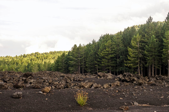 Pendice bilder – Bläddra bland 175 stockfoton, vektorer och videor ...