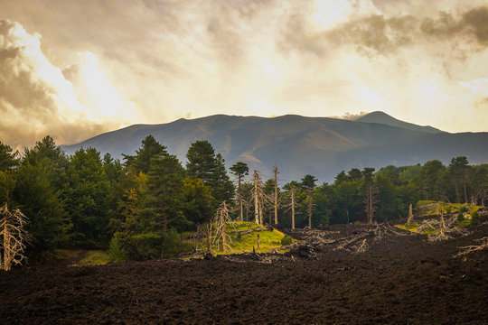 Pendice bilder – Bläddra bland 175 stockfoton, vektorer och videor ...