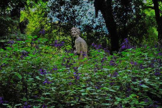 「Apenada」の写真素材 | 17件の無料イラスト画像 | Adobe Stock