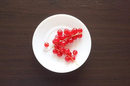 Ptoto Images – Browse 59 Stock Photos, Vectors, and Video | Adobe Stock