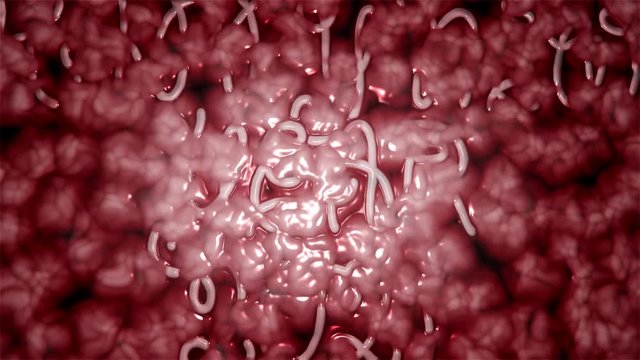 รูปภาพMaggot – เลือกดูภาพถ่ายสต็อก เวกเตอร์ และวิดีโอ80,727 | Adobe Stock