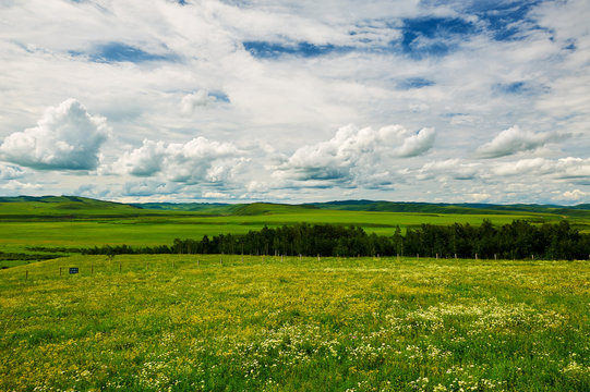 รูปภาพHulunbuir – เลือกดูภาพถ่ายสต็อก เวกเตอร์ และวิดีโอ685 | Adobe Stock