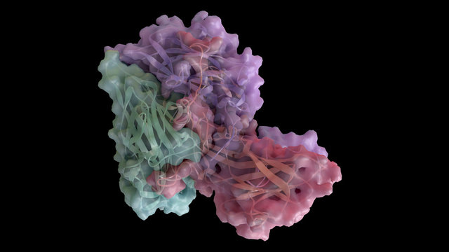 Capsomere Imagens – Procure 169 fotos, vetores e vídeos | Adobe Stock