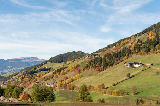 Vilnoss bilder – Bläddra bland 21 stockfoton, vektorer och videor ...