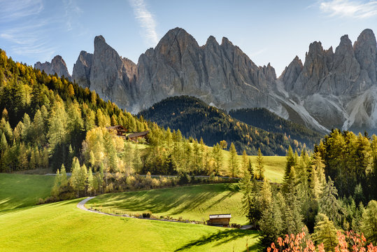 Vilnoss bilder – Bläddra bland 21 stockfoton, vektorer och videor ...