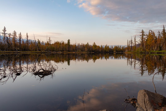 Talnakh Bilder – Durchsuchen 78 Archivfotos, Vektorgrafiken und Videos ...