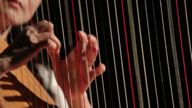 Harp Video Footage – Browse 1,748 HD Stock Video and Footage | Adobe Stock