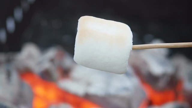 "Toasting Marshmallow" Images – Browse 28 Stock Photos, Vectors, and ...