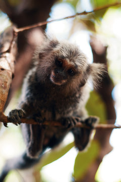 Reto photos, images, assets | Adobe Stock