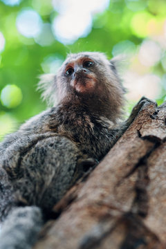 Reto photos, images, assets | Adobe Stock