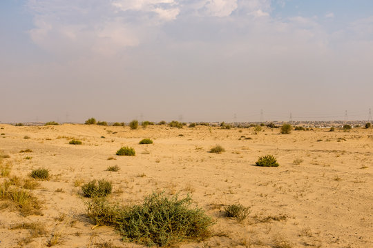 「Scrubland」の画像 - 34,684 件の Stock 写真、ベクターおよびビデオ | Adobe Stock