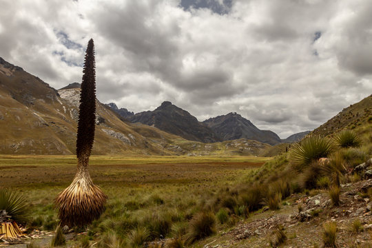 Ancash Images – Parcourir 2,812 le catalogue de photos, vecteurs et ...