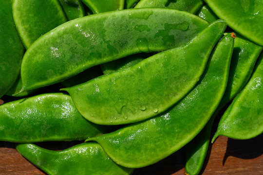 Garrofon Images – Browse 63 Stock Photos, Vectors, and Video | Adobe Stock