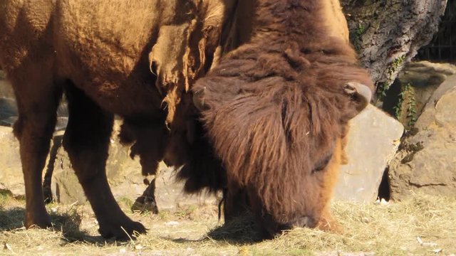 รูปภาพUnconcerned – เลือกดูภาพถ่ายสต็อก เวกเตอร์ และวิดีโอ7,743 | Adobe ...