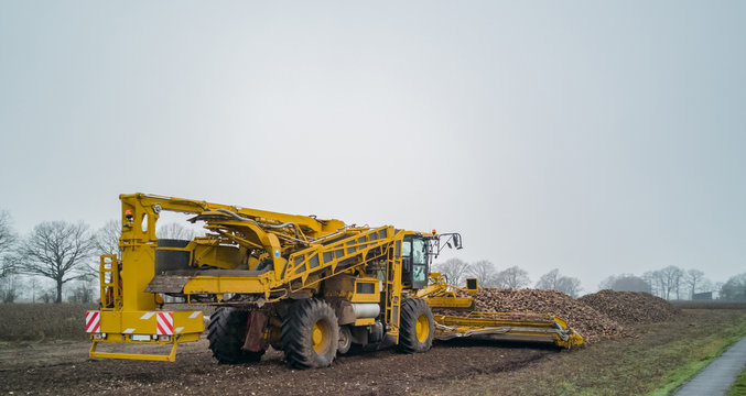 Rübenroder Bilder – Durchsuchen 324 Archivfotos, Vektorgrafiken und ...