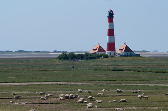 Warft Bilder – Durchsuchen 824 Archivfotos, Vektorgrafiken und Videos ...