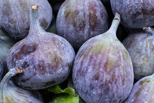 Figo Images – Browse 637 Stock Photos, Vectors, and Video | Adobe Stock