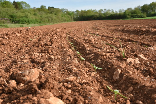 Assolement Images – Browse 12 Stock Photos, Vectors, and Video | Adobe Stock