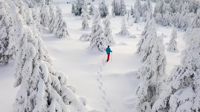 Snowshoeing Images – Browse 81,629 Stock Photos, Vectors, and Video ...